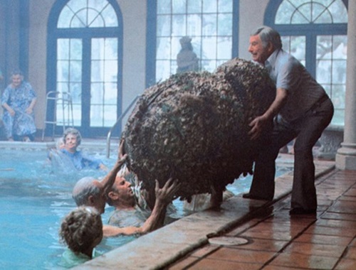 Seret.co.il - חדשות קולנוע | חדשות בידור :: Seret מהעבר: 40 שנה לקוקון